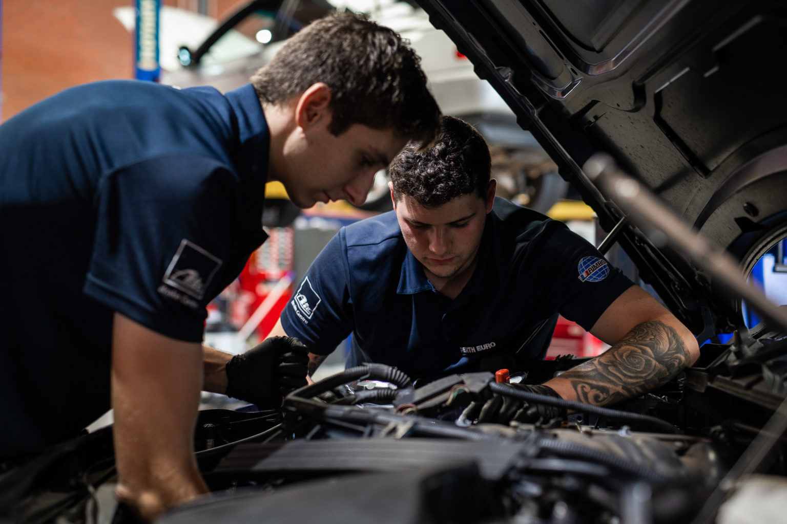 Old Fashioned Service: Perth Euro - hsy autoparts